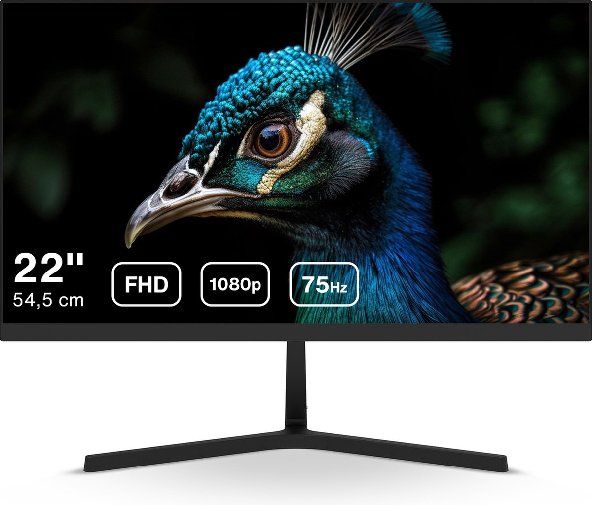 Dahua LM22-B201S - Full HD IPS Monitor - 75 Hz - 22 inch - BCC.nl